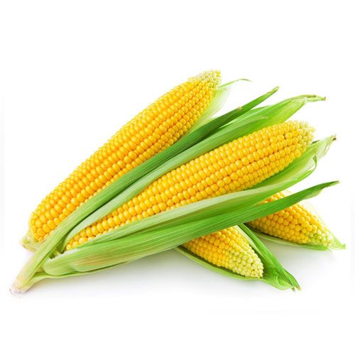 Venta de Frutas y Verduras on line Manolo